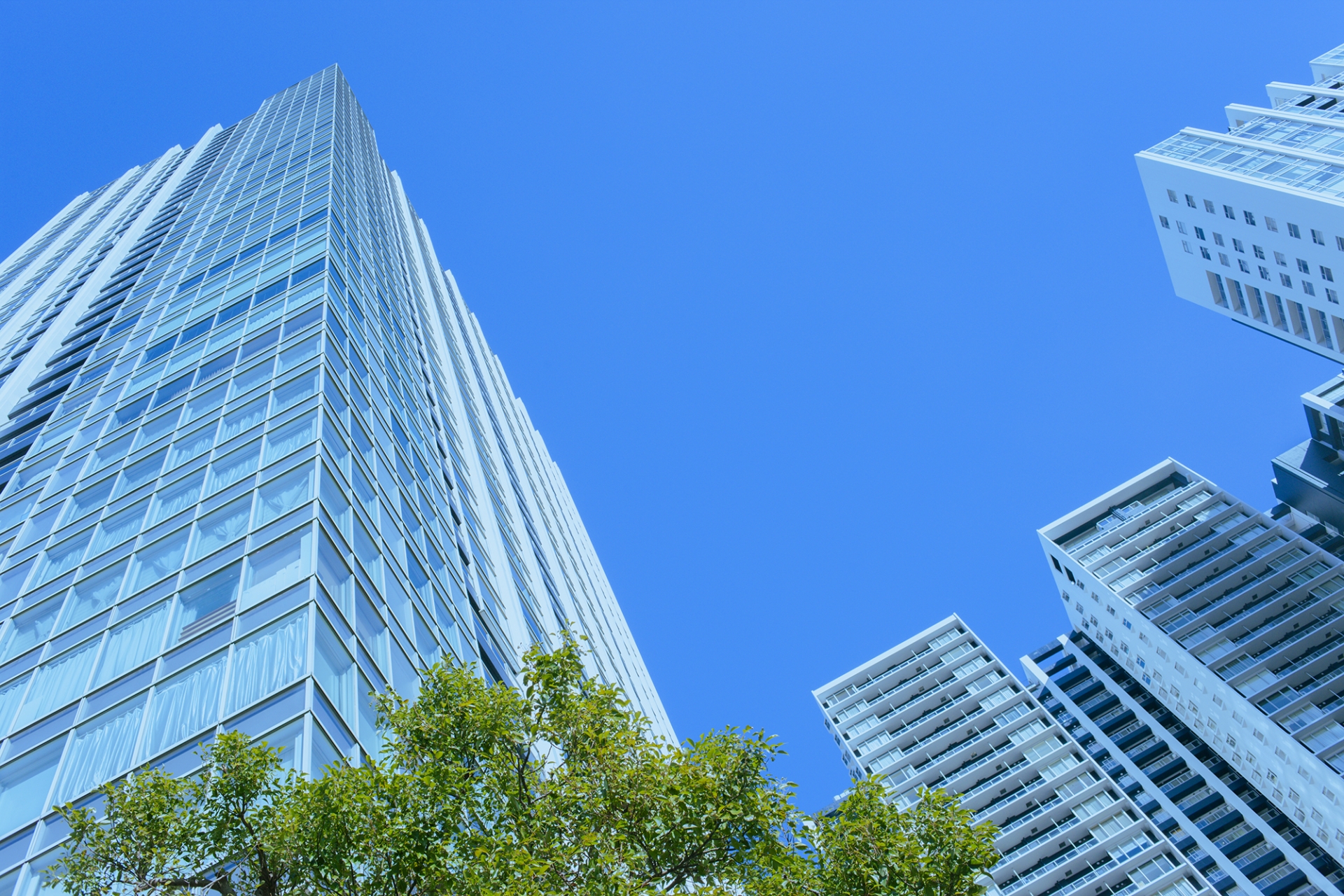 「SESはやめとけ」は本当？未経験からキャリアアップするためのロードマップと成功の鍵 - Unitas PASS